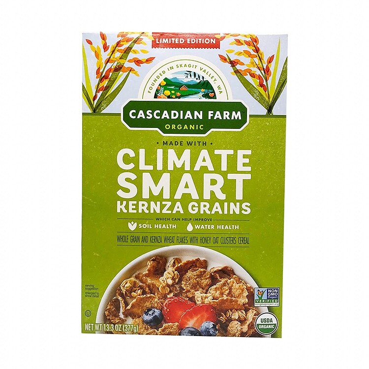 Kernza: The Perennial Grain that can help our planet - Faith & Science ...