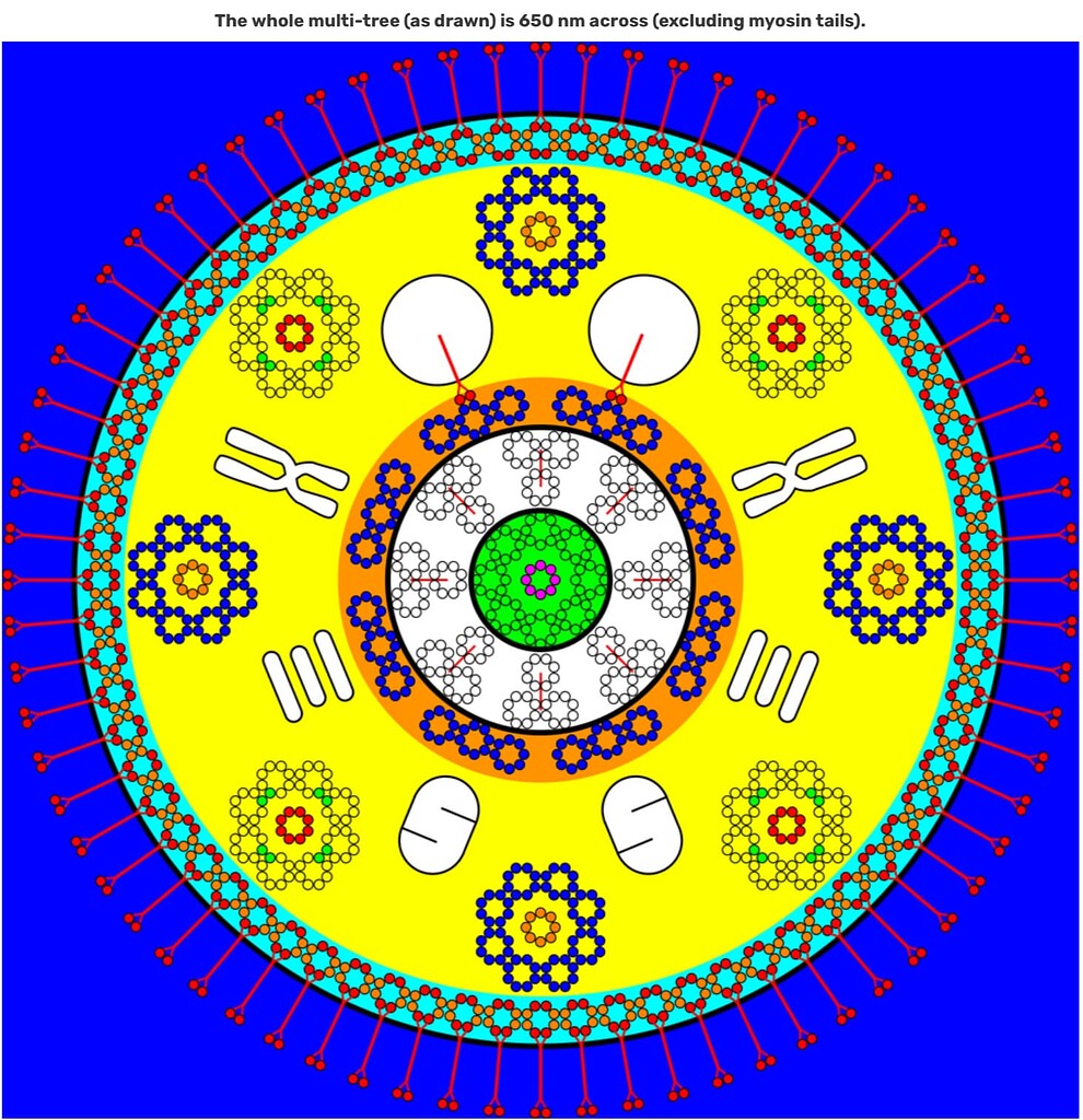 Garden of Eden shaped like a cell - Faith & Science Conversation - The ...