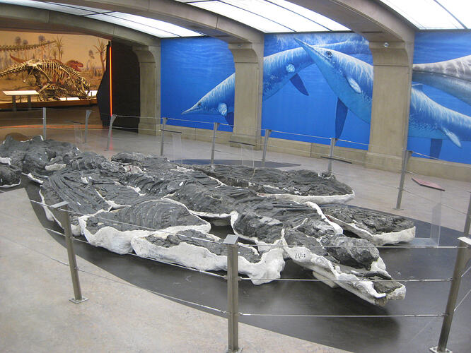 What are your thoughts on the depictions of dinosaurs in cinema? - Page ...