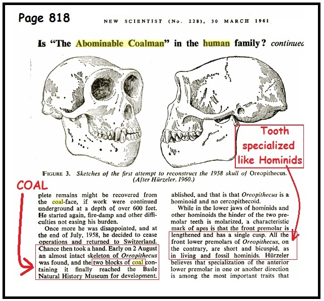I don't KNOW God? - Page 6 - Faith & Science Conversation - The ...